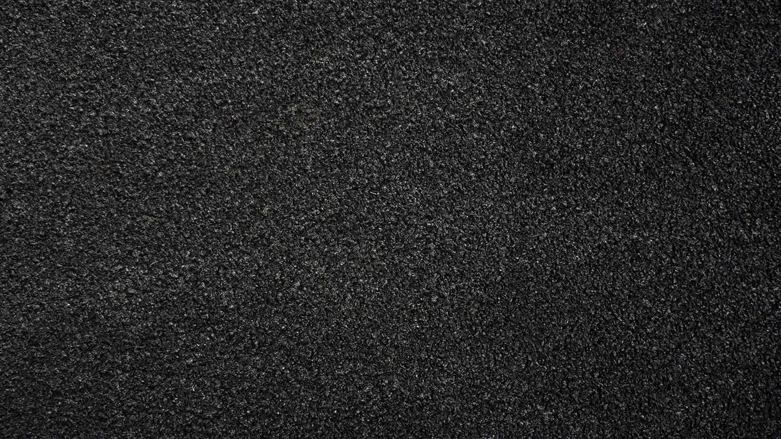 Forza.net: The official home of Forza